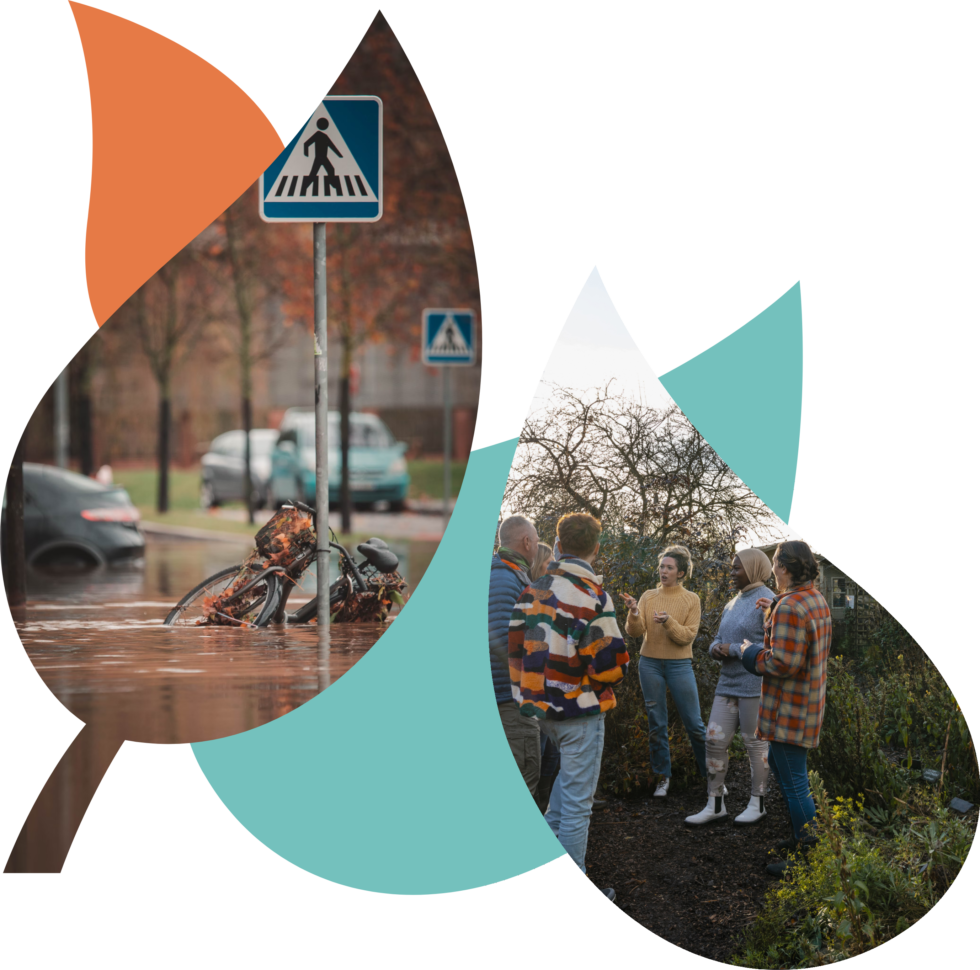 Research lines - Accting